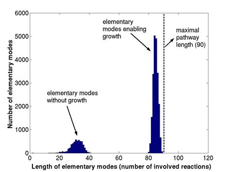 Computation Of Elementary Modes A Unifying Framework And The New