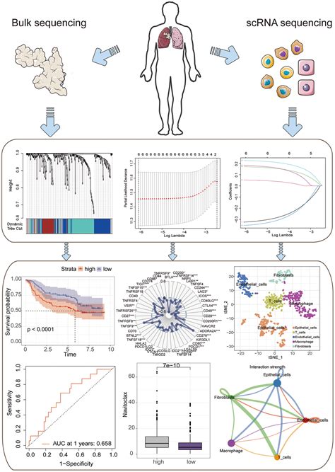 The Integration Of Multi Omics Analysis And Machine Learning For The