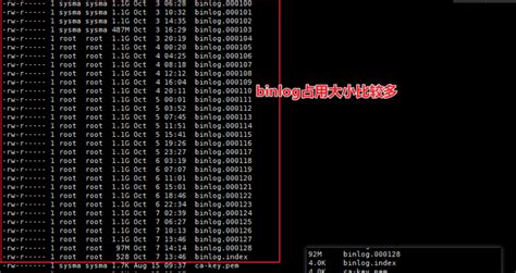 Mysql80数据库清理binlog日志mysql8 删除binlog Csdn博客
