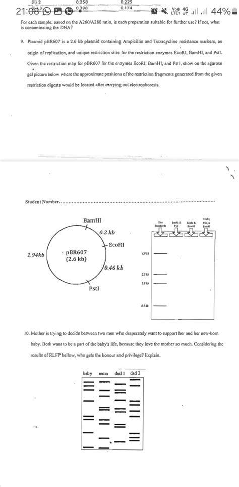 For Each Sample Based On The A260a280 Ratio Is Each Preparation Suitab