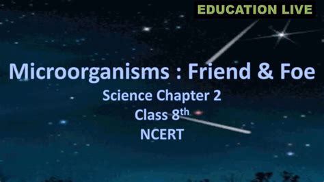 Microorganisms Friend Foe Science Chapter Class 8th NCERT CBSE