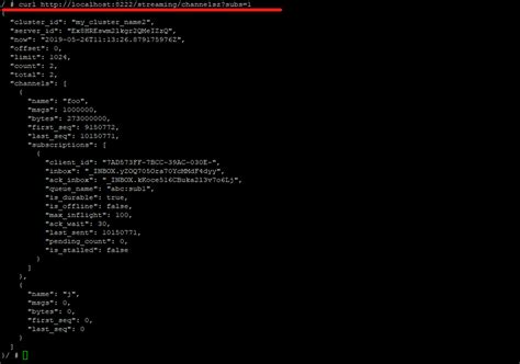 Details Monitoring Of Channel Is Not Giving Full Information Issue