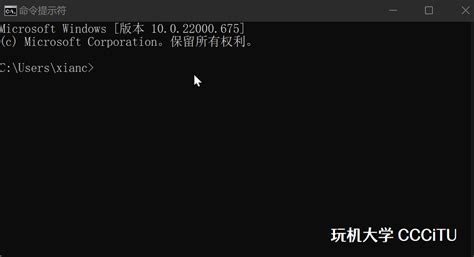 使用 ping 测试网络延迟和丢包率 cccitu 玩机大学