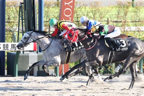 【大阪スポーツ杯】〝1鞍入魂〟三浦皇成のデリカダが快勝「根性を見せて割ってきてくれました」 競馬ニュース・特集なら東スポ競馬