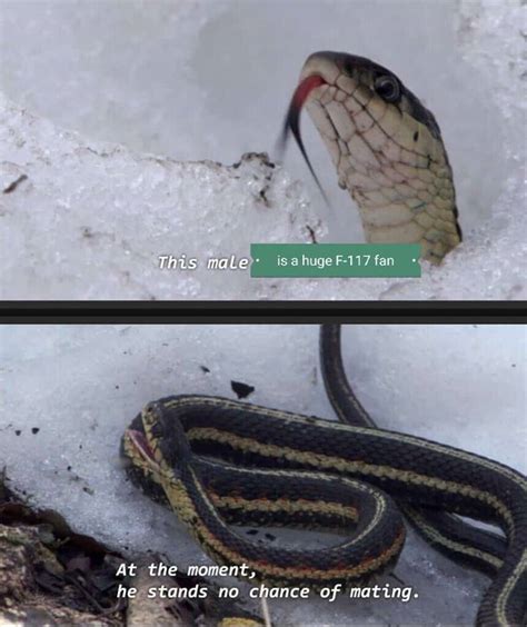 Silencers Suspicious Ace Combat Page An Ace Combat Meme From Anka