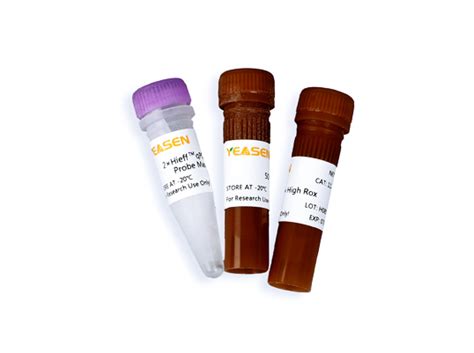 探针法2×实时定量pcr扩增预混液qpcr Taqman Probe Master Mix