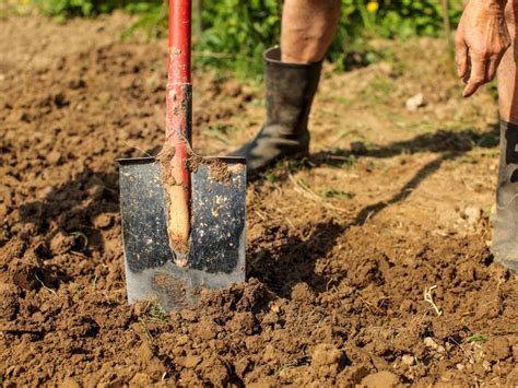 Amending Clay Soil Improving Clay Soil In Your Yard Gardening Know How
