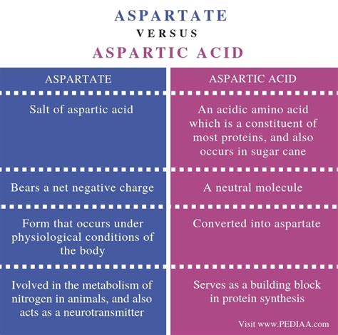 What Is The Difference Between Aspartate And Aspartic Acid Pediaacom