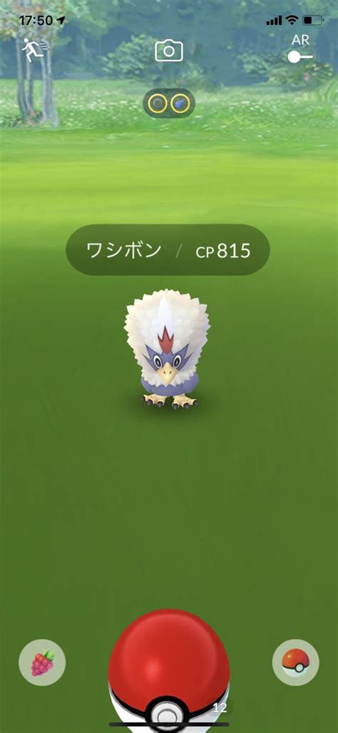 【ポケモンgo】ワシボンの色違い、 入手方法と実装状況 攻略大百科