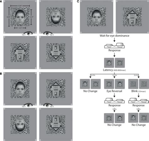 Stimuli And Trial The Left Panel Shows The Stimulus Combinations Used Download Scientific