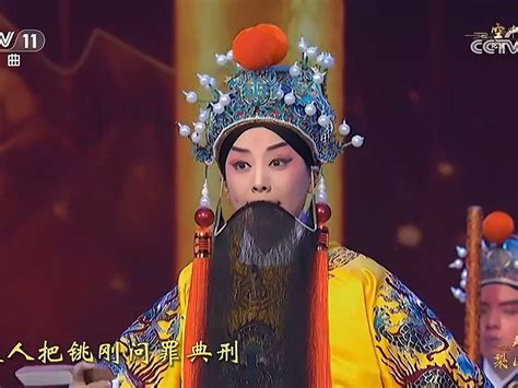 于魁智 京剧《四郎探母》（弟兄们离别十五春） 忧豫的芦苇 名段 哔哩哔哩视频