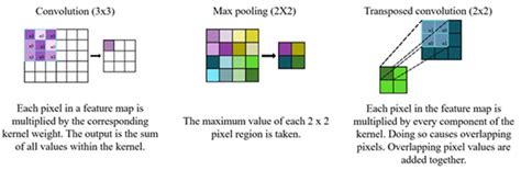 Visual Depictions Of Convolution Max Pooling And Transposed