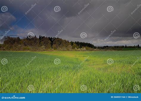 Green Field With Forest And A Cloudy Sky In Washington County Oregon