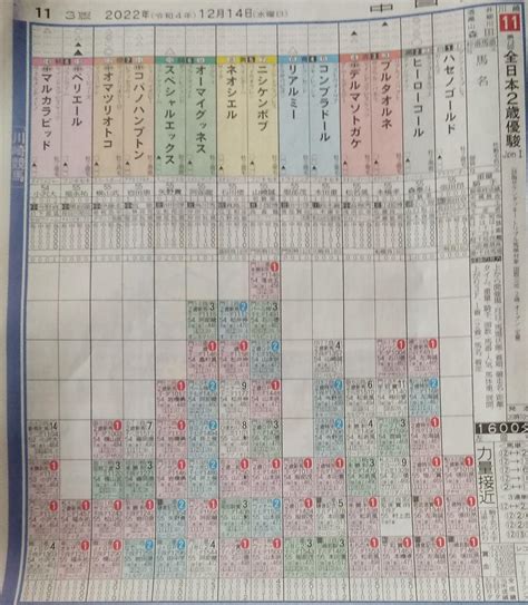 川崎11r・全日本2歳優駿（jpn1） 有香＆オーロラちゃん