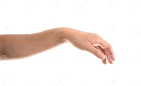 Hand Facing Down On White Background Stock Image Image Of Hand