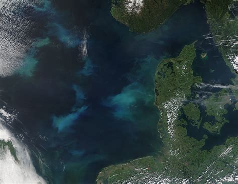 Phytoplankton Blooms In The North Sea