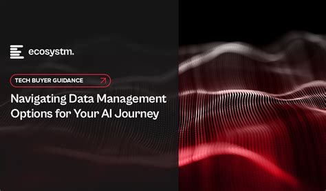 Navigating Data Management Options For Your Ai Journey Ecosystm Insights