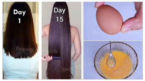 Egg And Olive Oil For Extreme Hair Growth Grow Your Hair Overnight