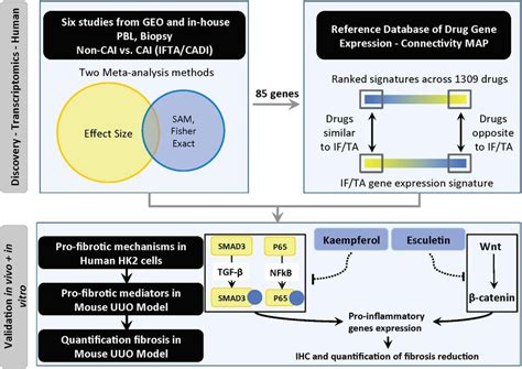 Work Flow Of Identifying The Drug Targets Through Integrative