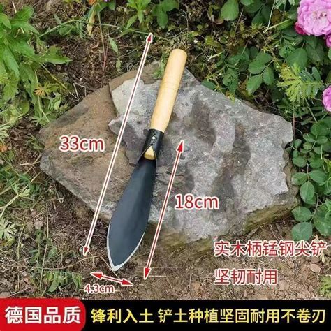 🎉🔥台湾 新款 🔥種菜神器 錳鋼小鏟子 種花養花種菜工具 挖野菜花卉除草挖土鐵鏟鐵鍬 綠化盆栽松土園藝鏟多肉工具 蝦皮購物