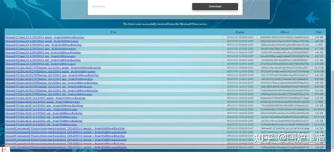 Windows Wsa
