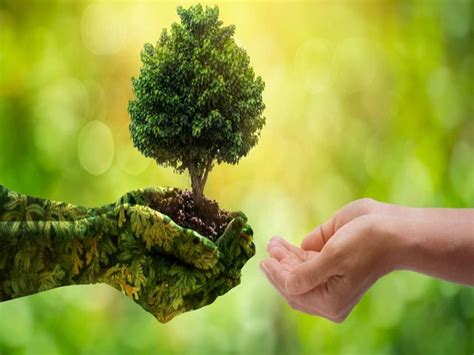 Full 4k Collection Of World Environment Day Images With Quotes Top