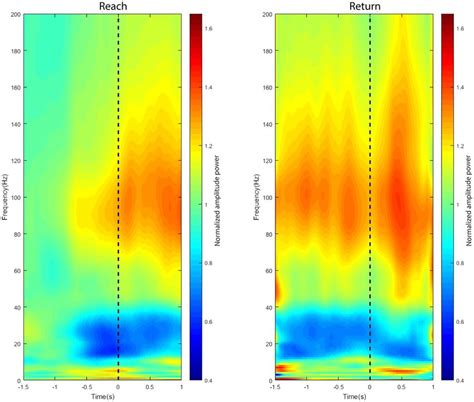 Spectrograms Showing The Time And Frequency Resolved Amplitude Spectra