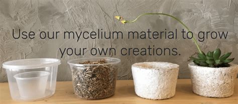 대안 버섯 균사체로 만든 대안 플라스틱 Pfreeme