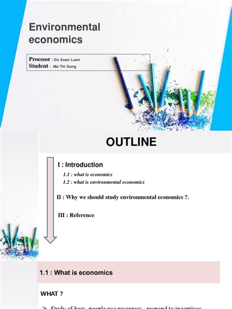 Environmental Economics Pdf Externality Economy And The Environment
