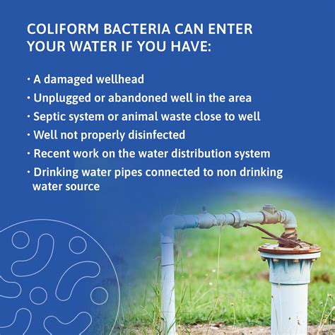 Water Bacteria Testing Kit 3 Pcs