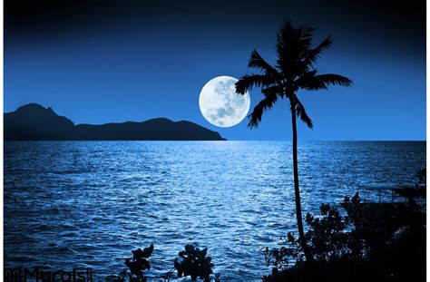 Ocean Night Moon Sky Tropical Wall Mural