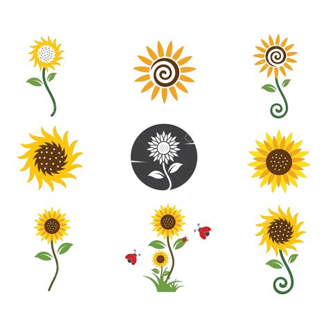Sunflower Logo Icon Vector Graphic Blossom Harvest Vector Graphic