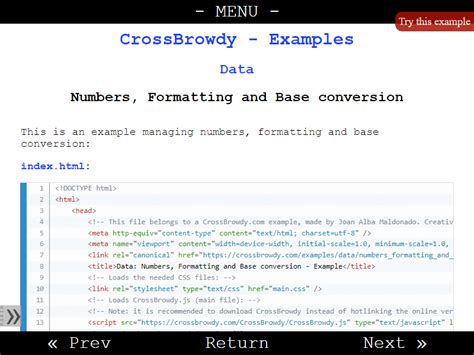 Crossbrowdy Examples Data Numbers Formatting And Base Conversion