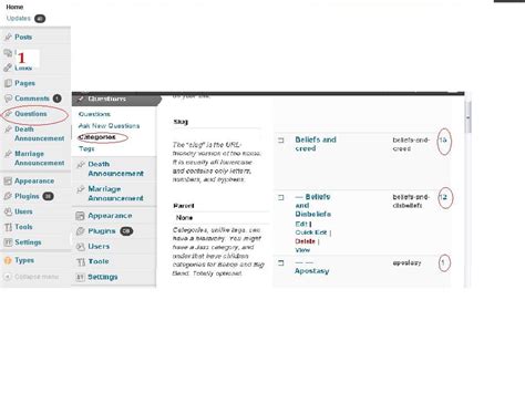 Customization Problem With Custom Post Type Categories Wordpress