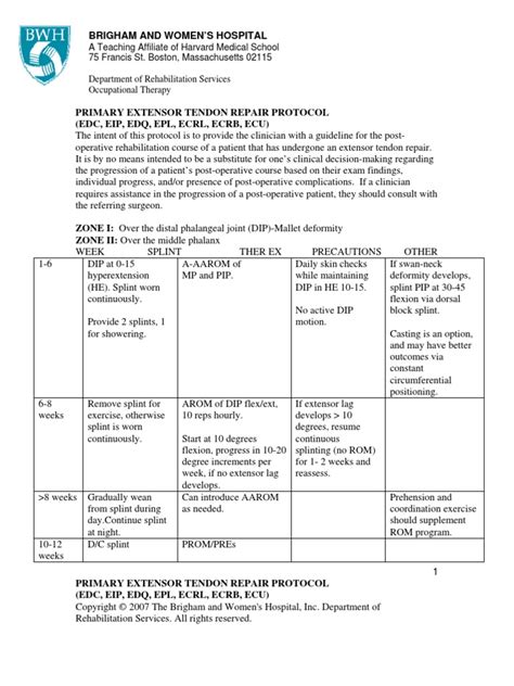 Extensor Tendon Injury Protocol Pdf Thumb Hand