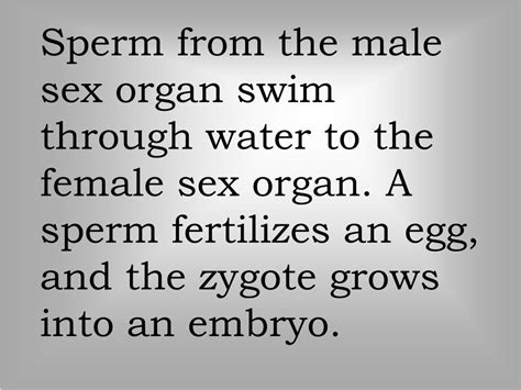 Ppt 2 Pteridophyta Powerpoint Presentation Free Download Id6219850