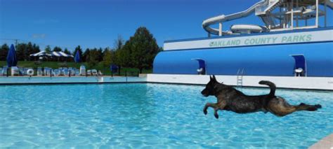 Events Programs Oakland County Mi
