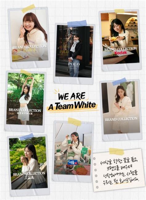 팀 화이트 27기 모집 브랜드로 세상을 바꾸자 캠퍼스픽