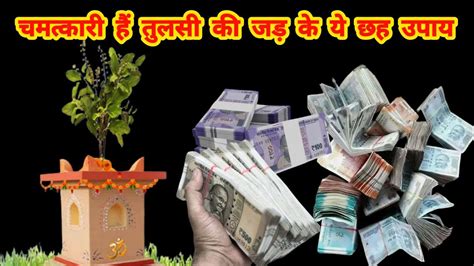 चमत्कारी हैं तुलसी की जड़ के ये छह उपाय दूर होगी नकारात्मकता प्रसन्न