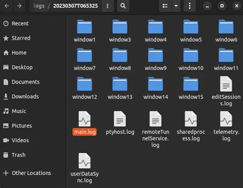 Find And View The Vs Code Extension Error And Global Logs Bobbyhadz