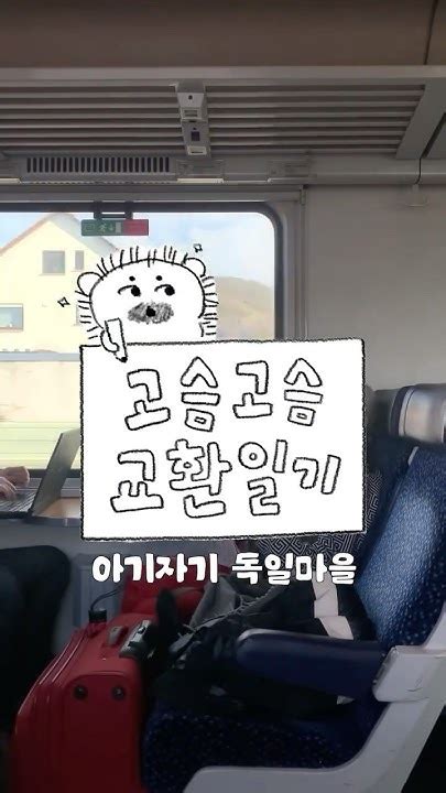 프푸에서 한시간이면 가는 낭만 도시 하이델베르크 독일 당일치기 여행지로 왕추천🦔 제발 와보세요 고슴고슴교환일기 독일