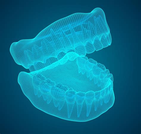 Menselijke Kaak 3d Vector Lay Out Geneeskunde En Gezondheid Premium