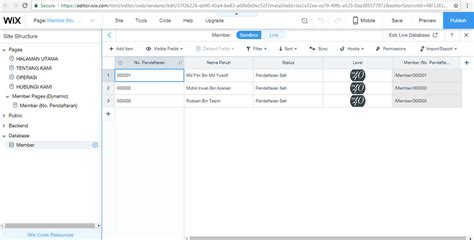 How To Create Search Box Display Result Connected Database Velo By Wix