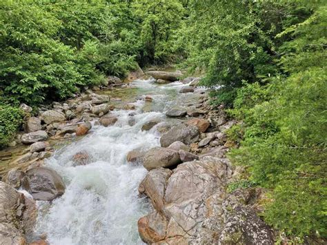 美景“滚滚”来 黄柏塬好环境引来野生大熊猫生态陕西