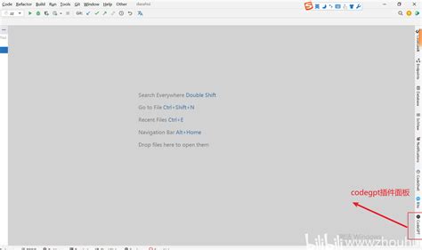 Deepseek Coder Codegpt