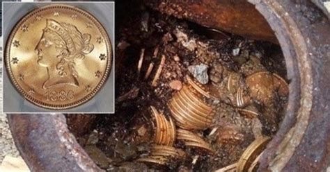 건강한 고양이 구별 요령 집 뒷마당서 100억 옛 금화 횡재 깜짝