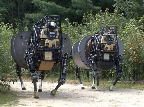 Karinis šuo Robotas Grįžo Su Draugu Delfi Mokslas
