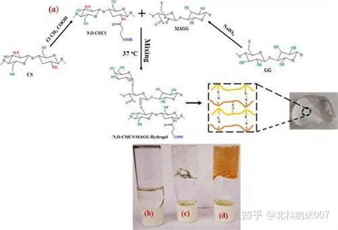 羧甲基壳聚糖水凝胶 新型药物控释载体助力抗癌 知乎