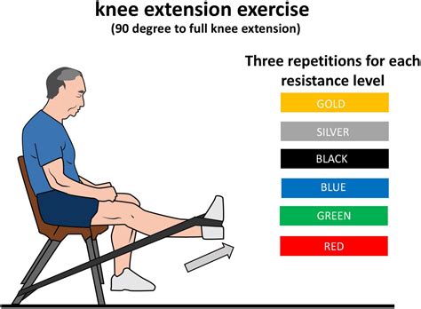 Frontiers Neuromuscular And Acute Symptoms Responses To Progressive