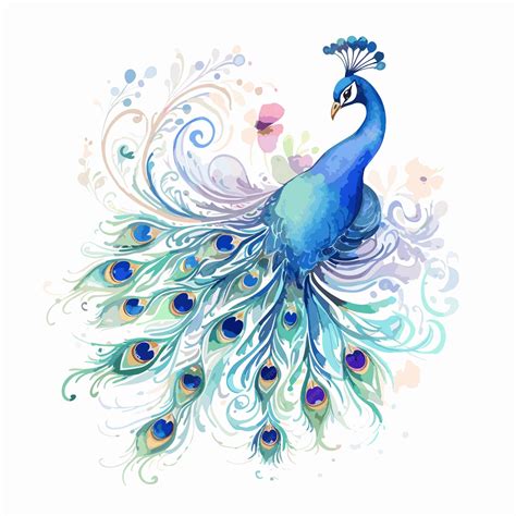 Premium Vector Colorful Peacock Illustration Isolated On A White